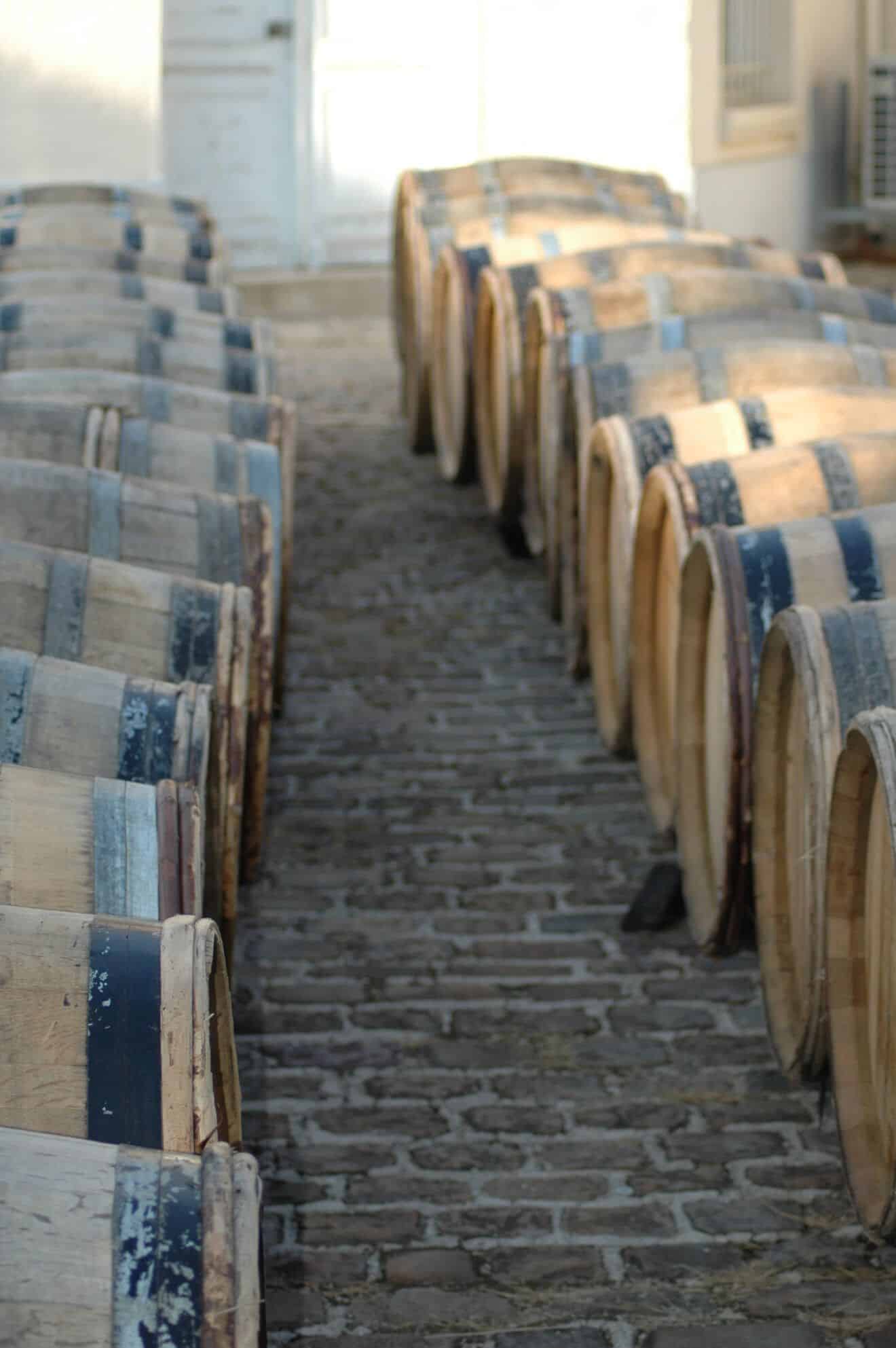 Corked Wine, Cork Taint, Musty Odours: What to Do